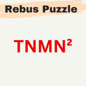 TNMN2 - Rebus Puzzle with Answer | TNMN (Square)