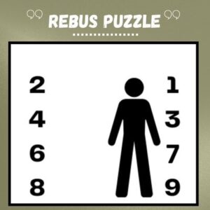 2 4 6 8 MAN 1 3 6 9 - Rebus Puzzle with Answer